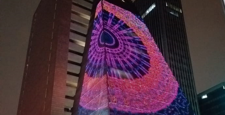 Dia da Cor - Sitivesp